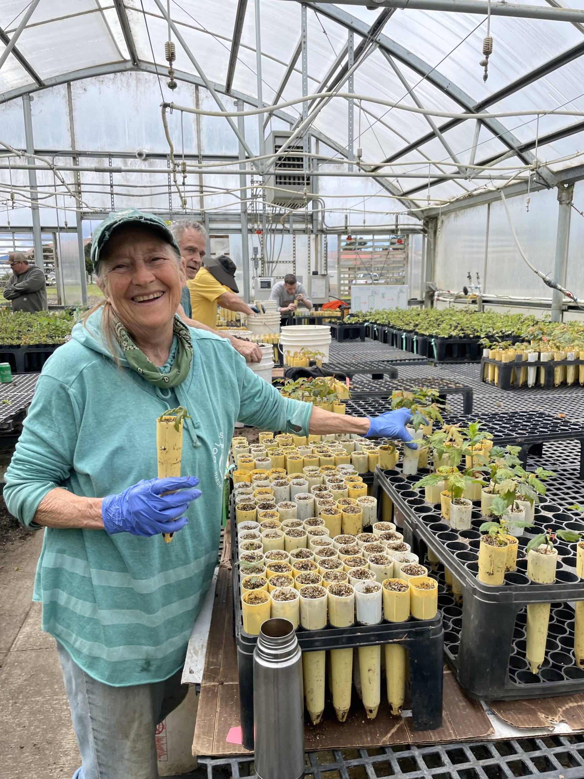 Nurturing Natives Seedling Thinning - Explore Nature