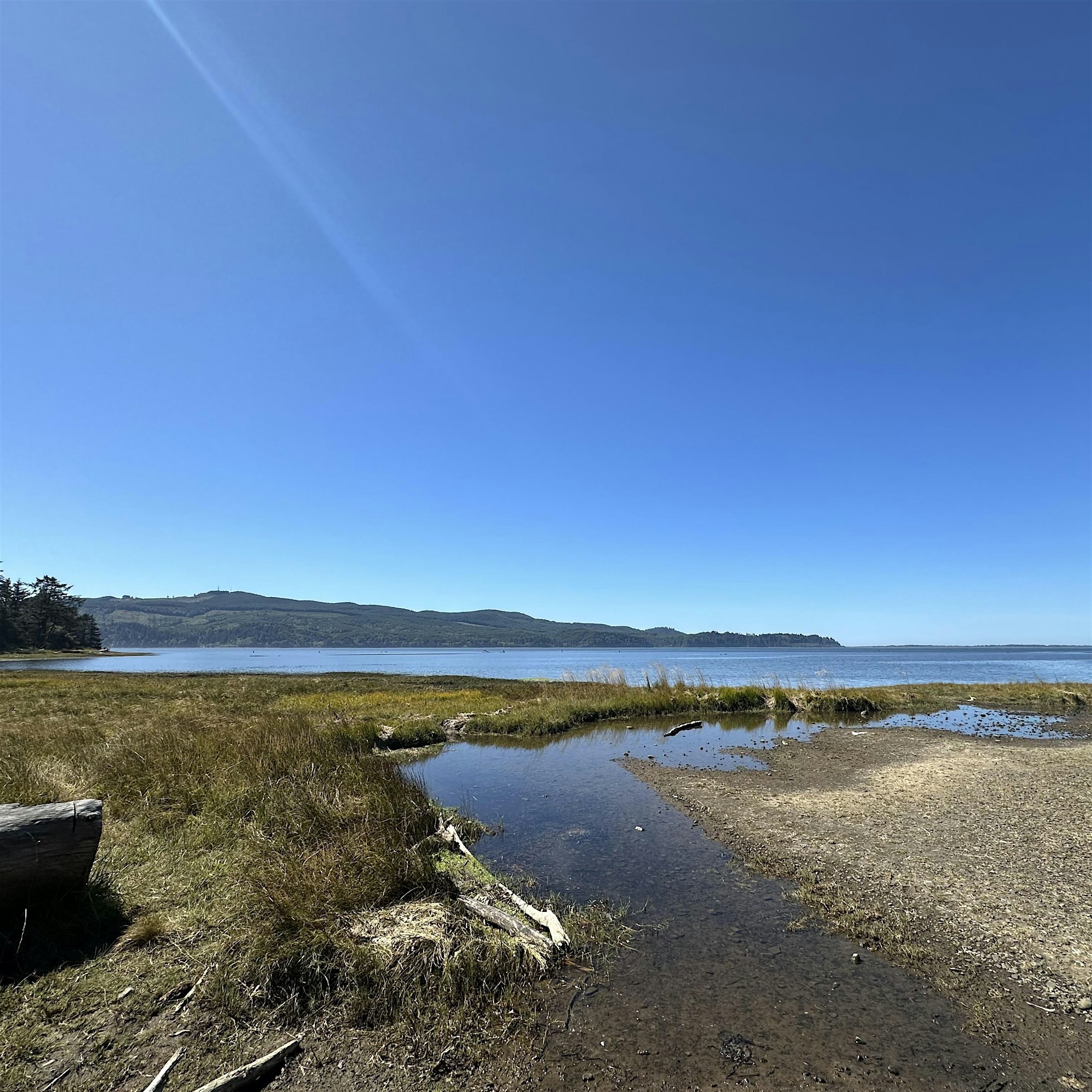 Quest at Kilchis Point Reserve - Explore Nature